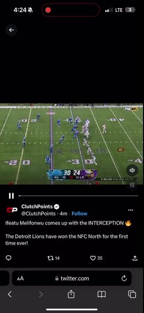 Petition · Demand the NFL to Investigate Referee Brad Allen for Biased ...