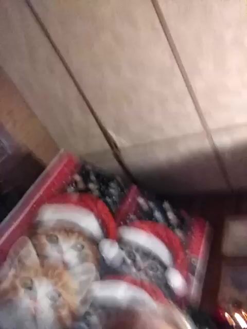 Petition · Tell KTIV Channel 4 to rehire meteorologist Jacob Howard ...