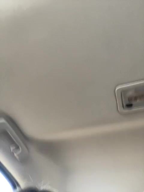 Petition · Hold Cole Prevost and Accomplices Accountable for Animal ...