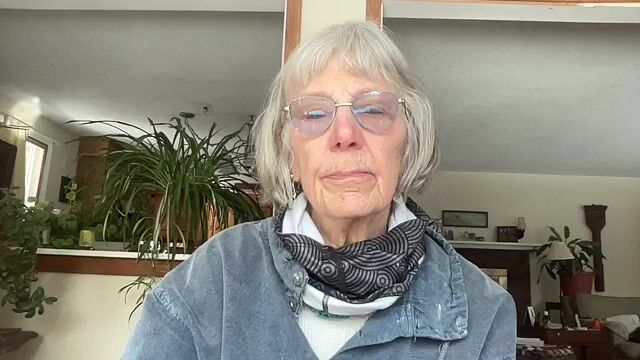 Petition · Stop Euthanasia in Animal Shelters - Fairhope, United States ...