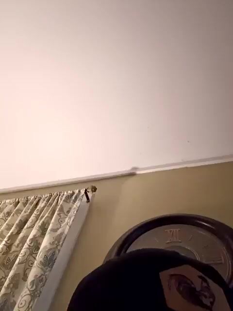 Petition · Revert the new Shrek 5 animation to what it was previously ...