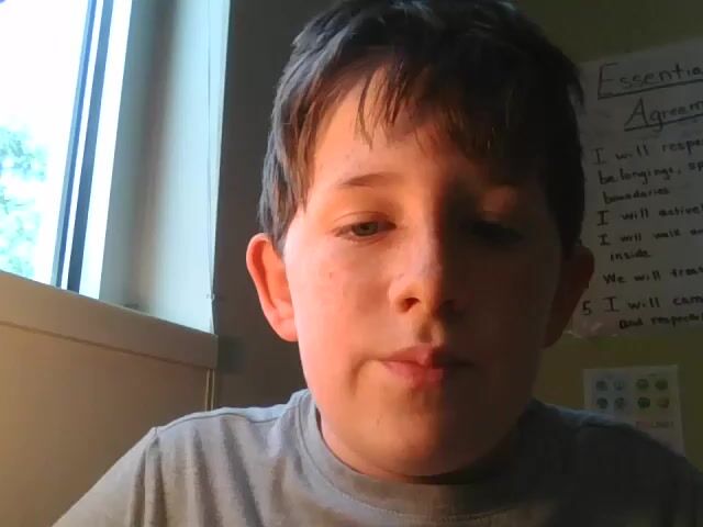 Petition · Saving the Sea Turtles Starting with E . Rivers! - Atlanta ...