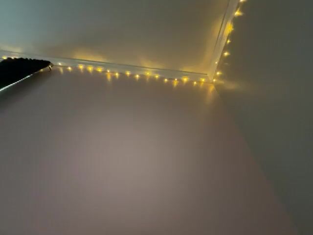 Petition · Defend academic freedom and institutional autonomy. We stand ...