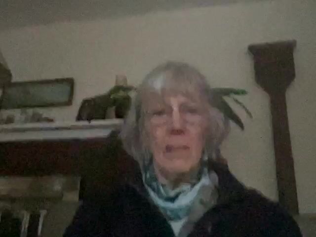 Petition · Stop the Inhumane Removal: Protect Delhi's Community Animals ...