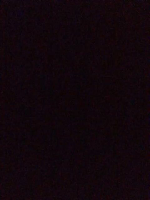 Petition · Justice for Candia-Bailey: Hold Lincoln University ...