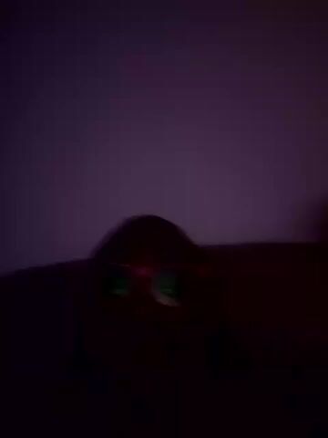 Petition · Legal action against Deputy Dana Elmore from the Pickens ...