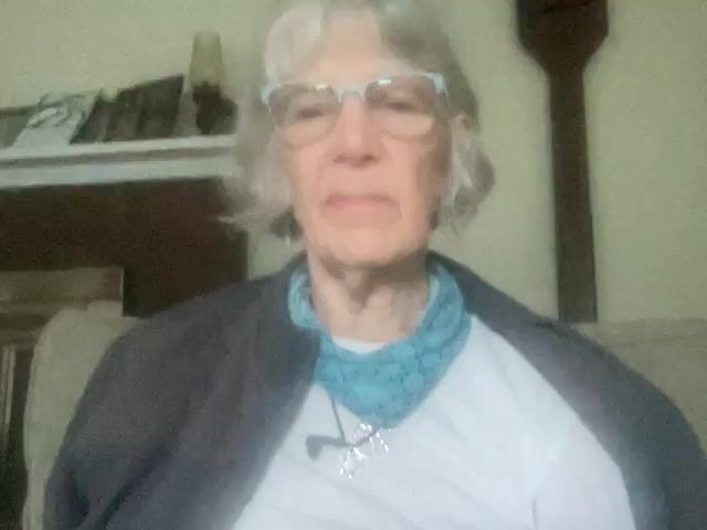 Petition · Stop the Mass Removal of Stray Dogs in Delhi — Support ...