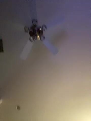 Petition · Bring back TheSlap.com - United States · Change.org