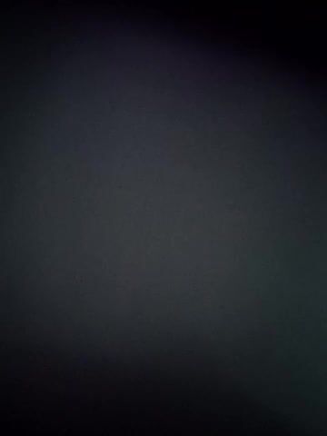 Petition · Stop Inhumane Treatment of Cats in China - United States ...