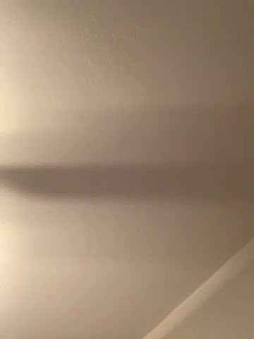 Petition · Bring back TheSlap.com - United States · Change.org