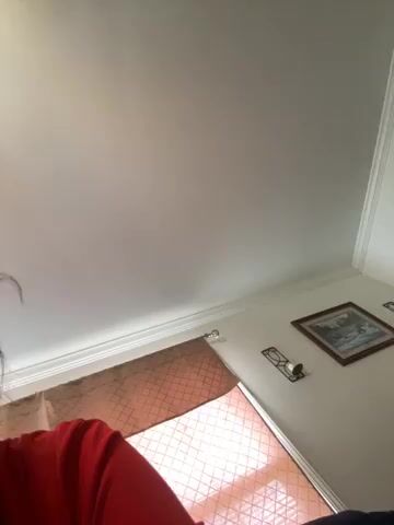 Petition · Return Kaka and Mit to their Loving Human Family - United ...