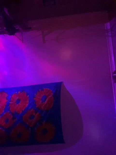 Petition · BAN!! Anna and Attis Paul from ALL social media platforms ...