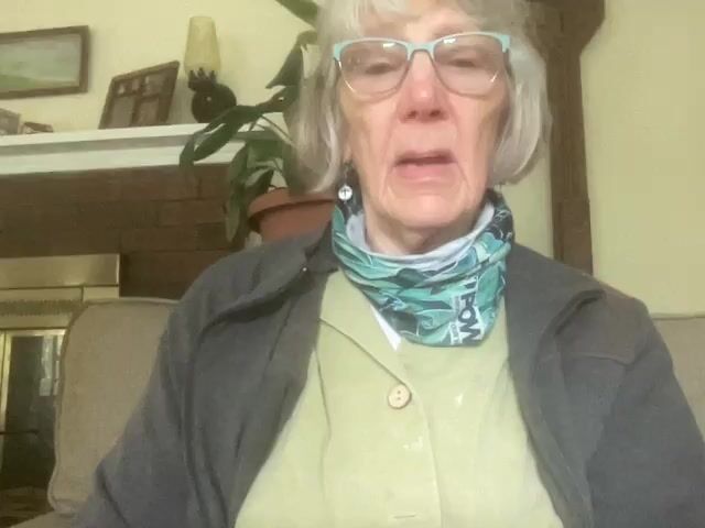 Petition · Save the Forgotten Dogs of Erbil, Iraq - United States ...