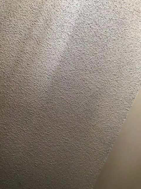 Petition · Nominate Brandon Herrera as Director of the BATFE - United ...